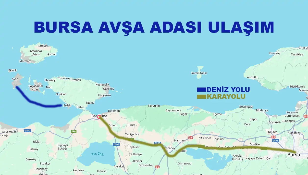 Avşa Adası'na Nasıl Gidilir? 2025 Ulaşım Rehberi avsaisland.com