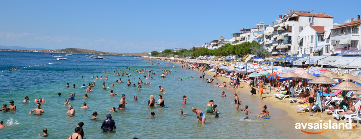 Avşa Adası'na Neden Gelmeliyim? | avsaisland.com
