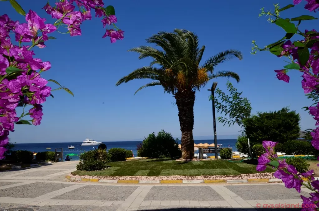 2026 Yılında Avşa Adası Apart Tatili Yapmak İsteyenler İçin Detaylı ...